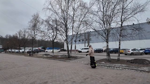 Лось и Ханой 250125