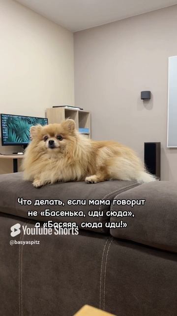 Помогите Басе советом!