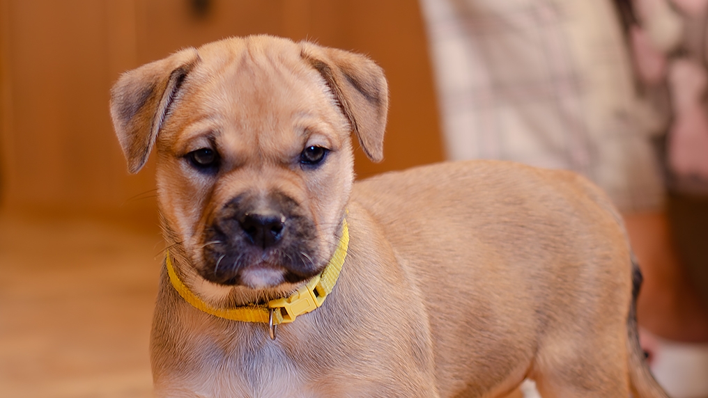 С мамой Асей