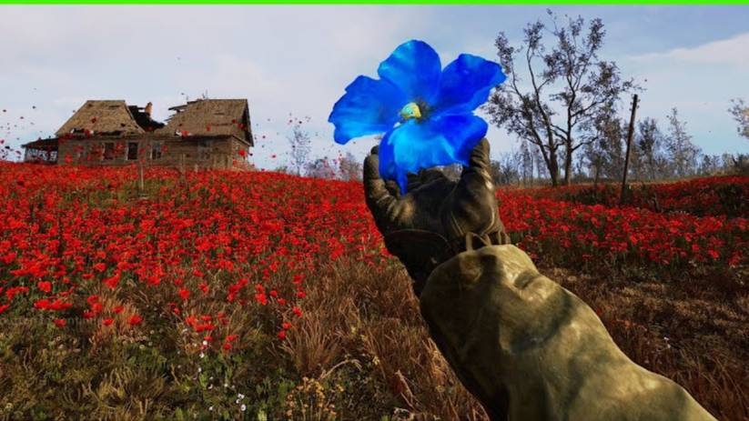 артефакт странный цветок в S.T.A.L.K.E.R. 2 Heart of Chernobyl