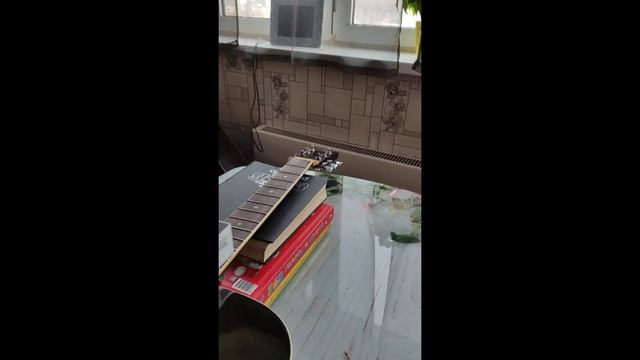 гриф гитары расколотый на 3 части ремонт