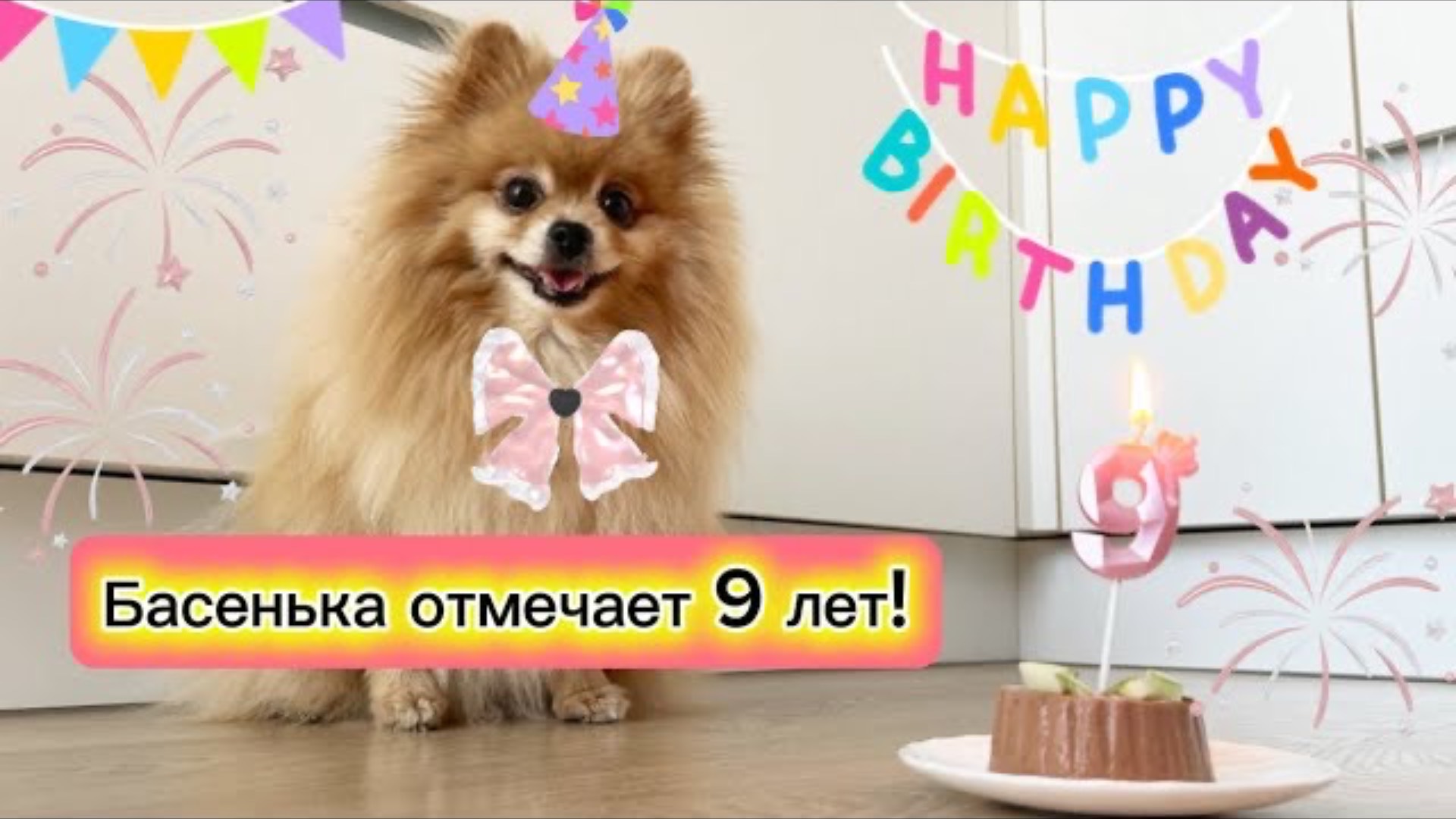 Басенька отмечает 9 лет!