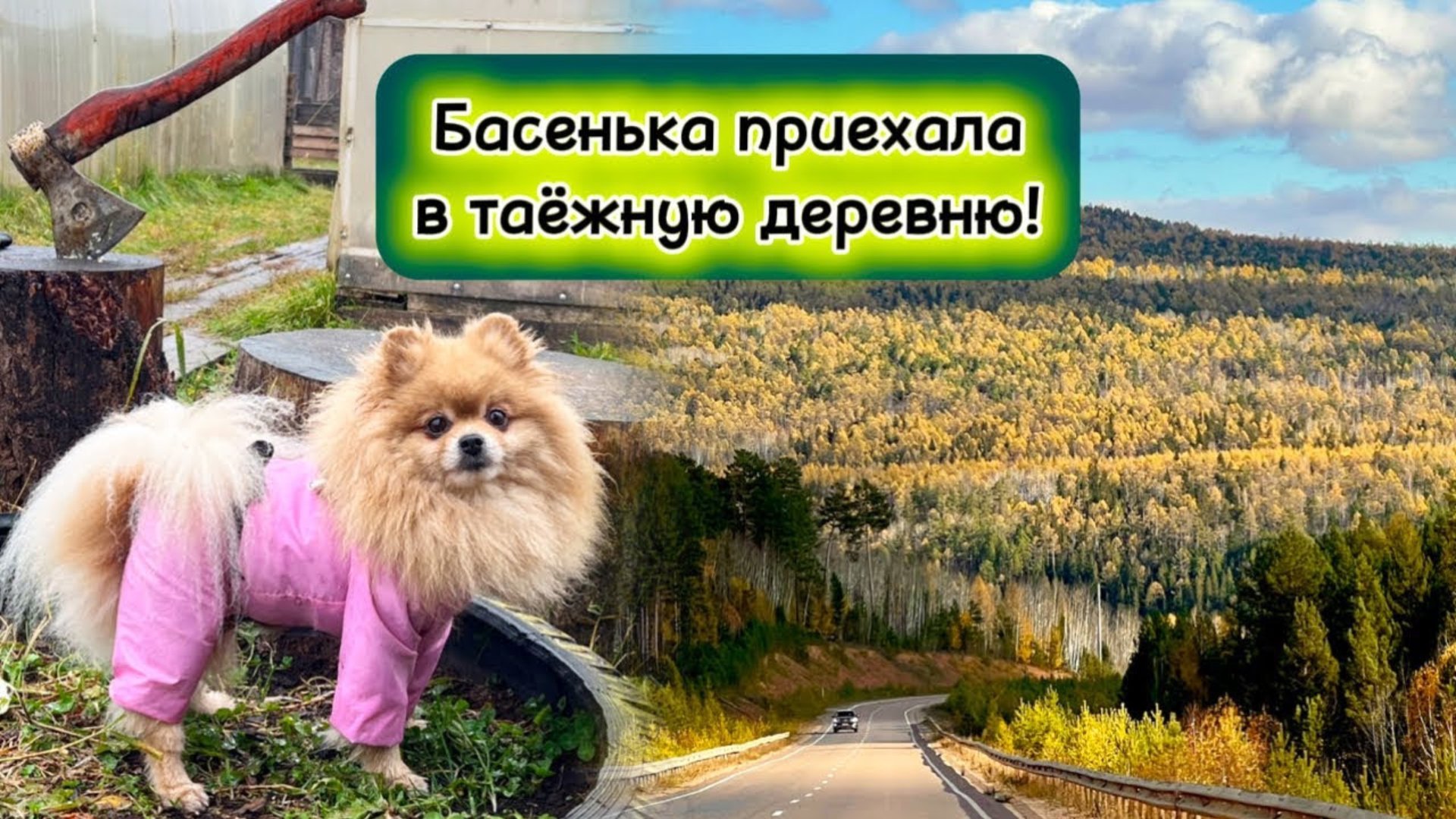 Басенька приехала в таёжную деревню!