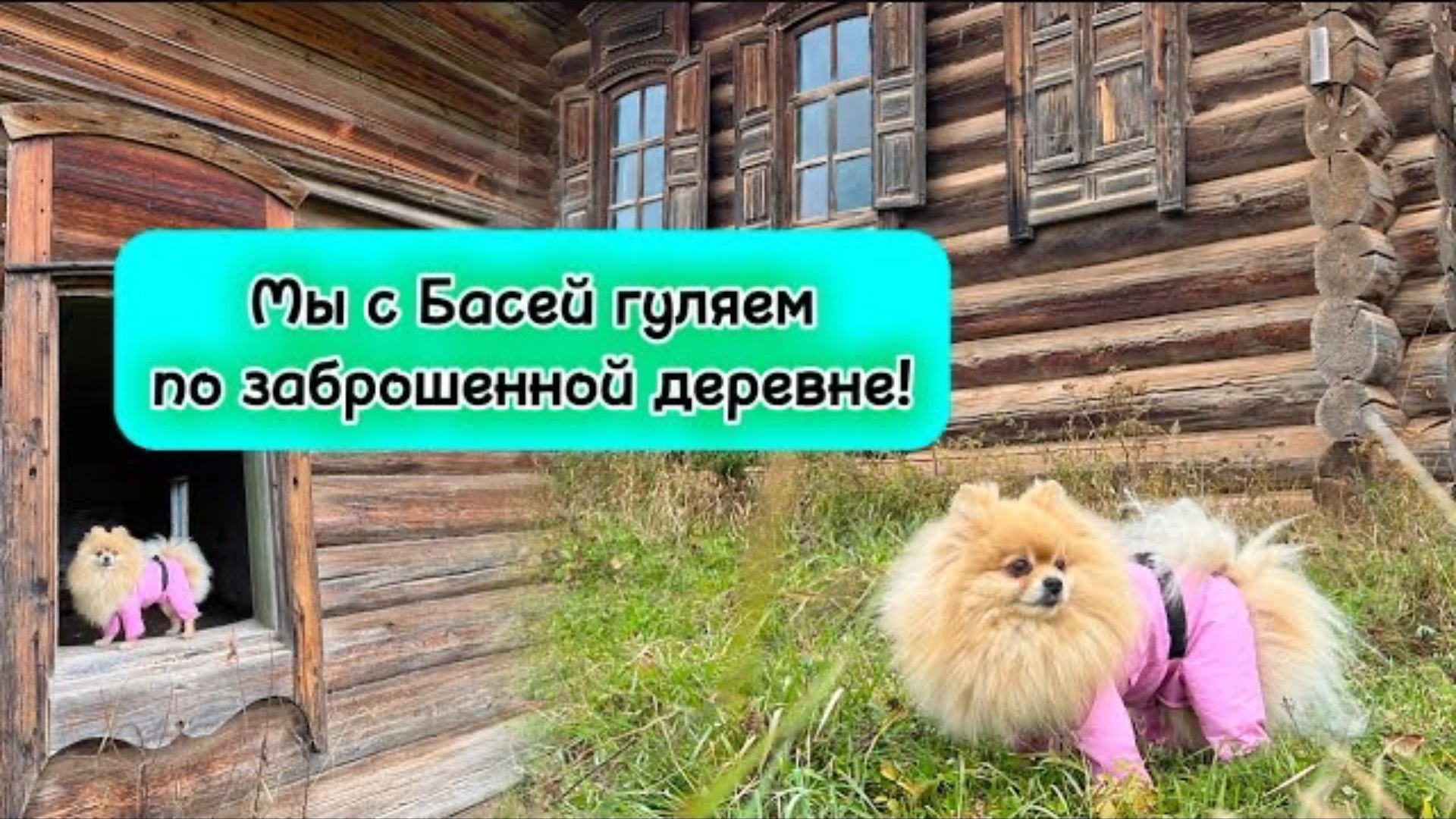 Мы с Басей гуляем по заброшенной деревне!