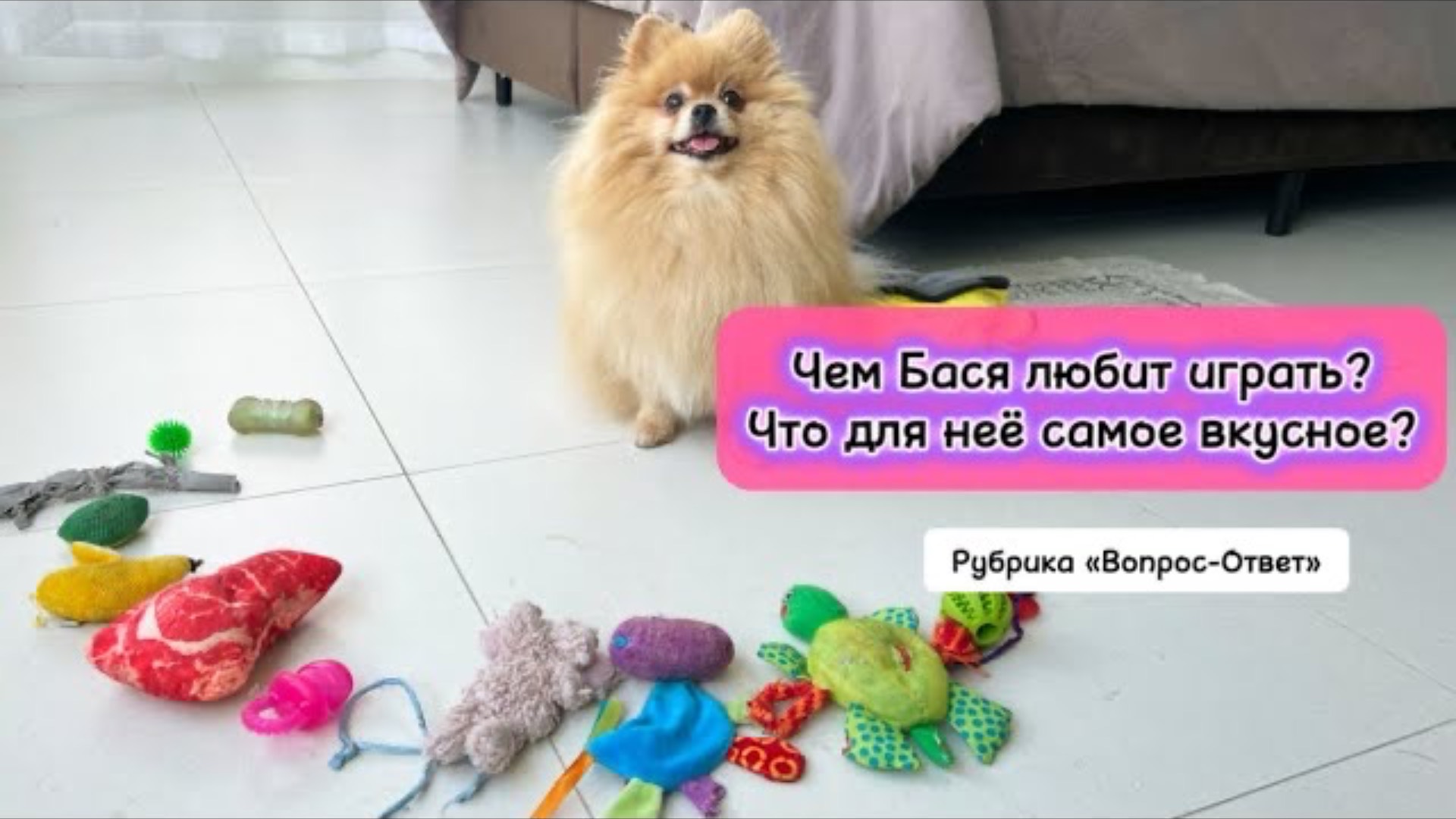 Чем Бася любит играть? Что для нее самое вкусное?