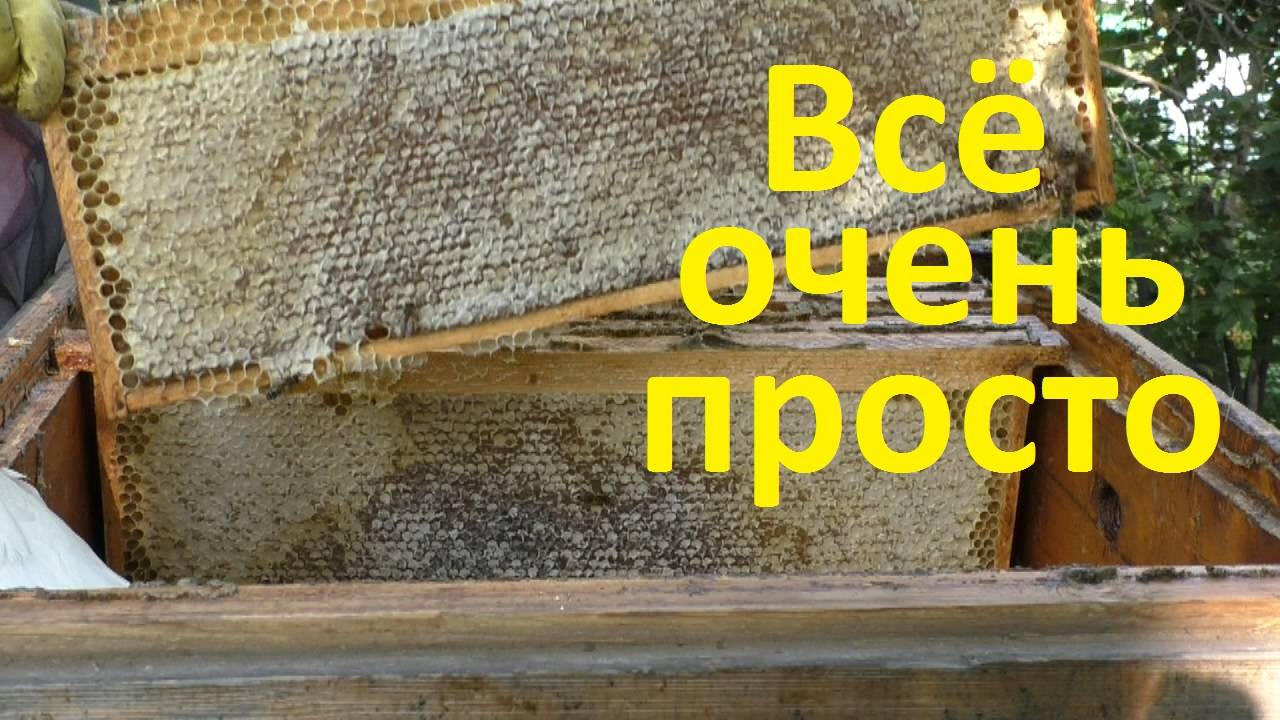 Простые приемы откачки меда и осушки рамок