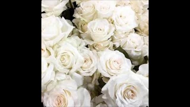 БЕЛЫЕ РОЗЫ (Cover) Юра Шатунов