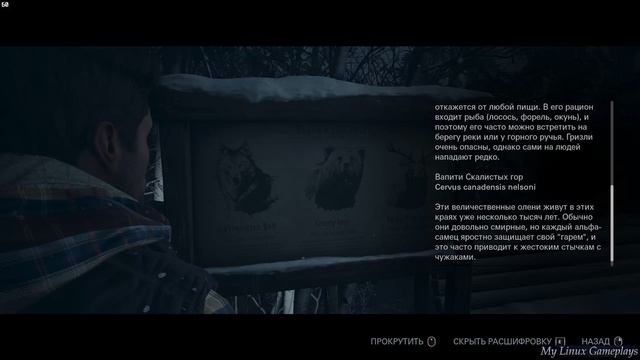 Until Dawn | Прохождение ➫ 04