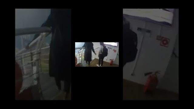 Реакция обзор на музей мирового океана в Калининграде.