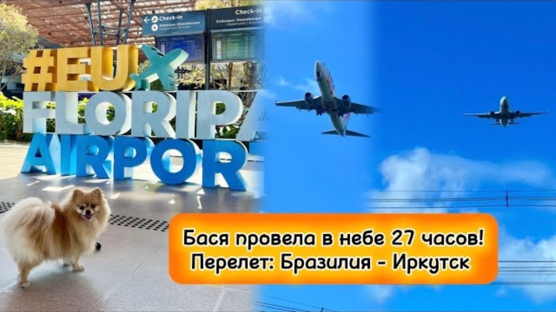 Бася провела в небе 27 часов! Перелет: Бразилия - Иркутск