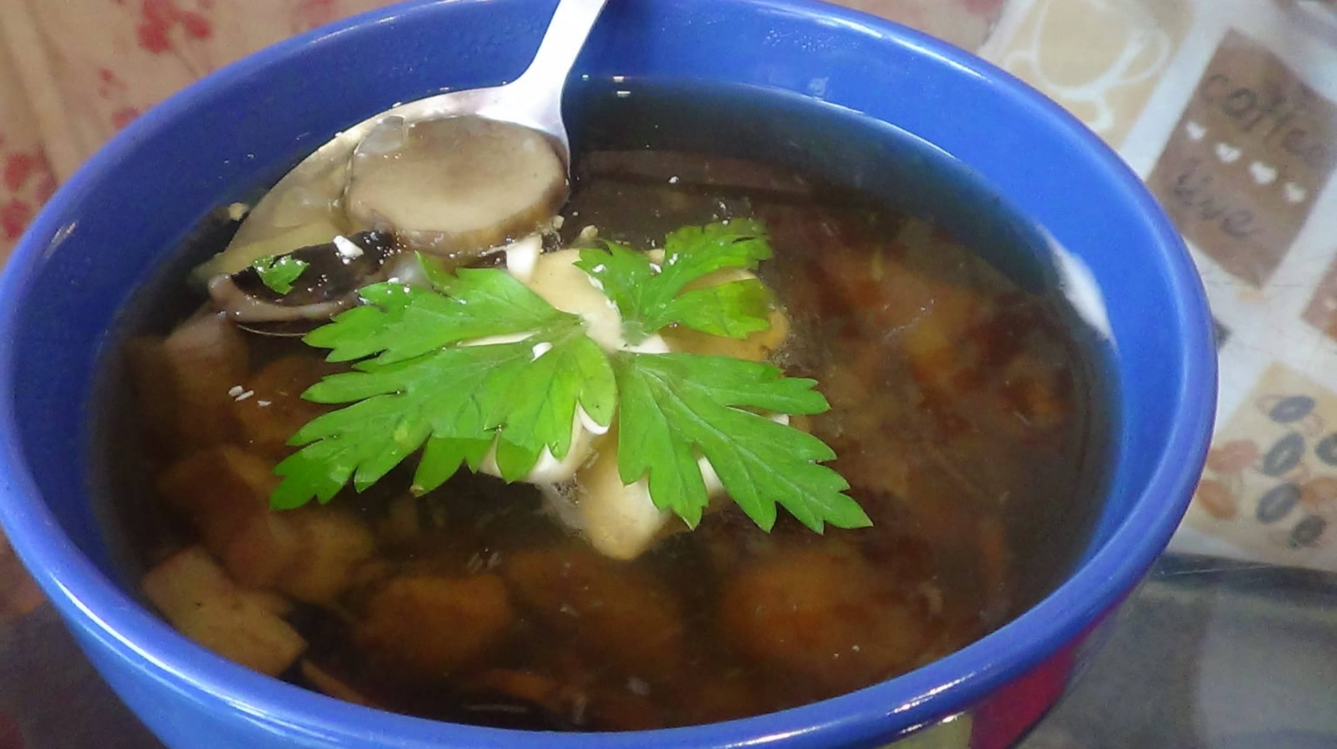 Суп из свежих лесных грибов