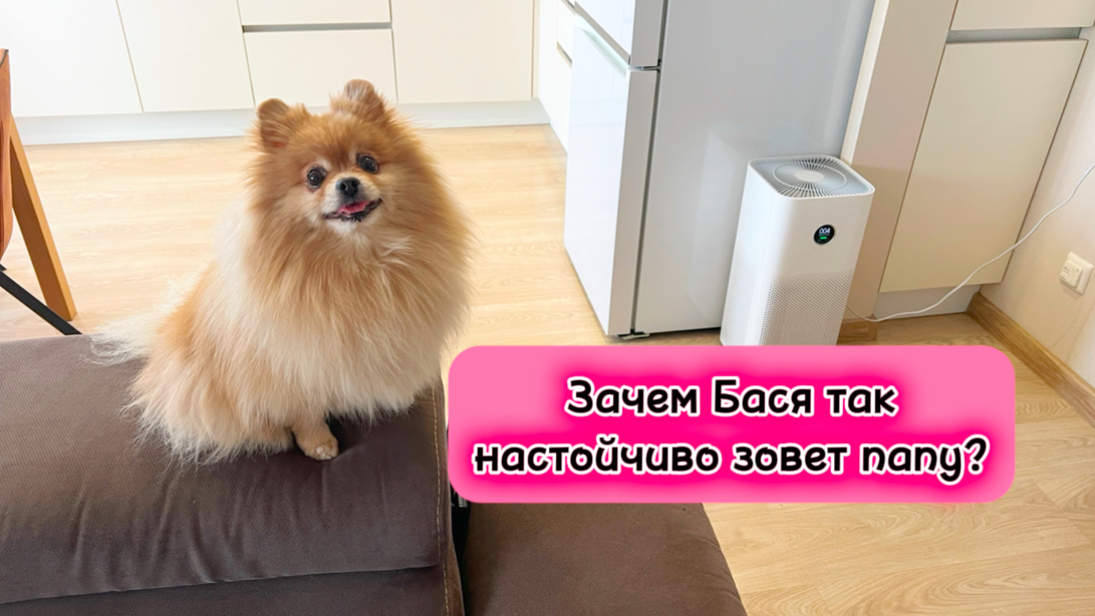 Зачем Бася так настойчиво зовет папу?