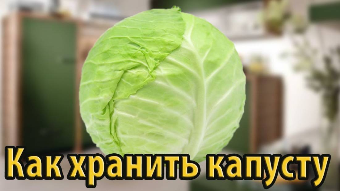 Как хранить капусту, что бы была свежей