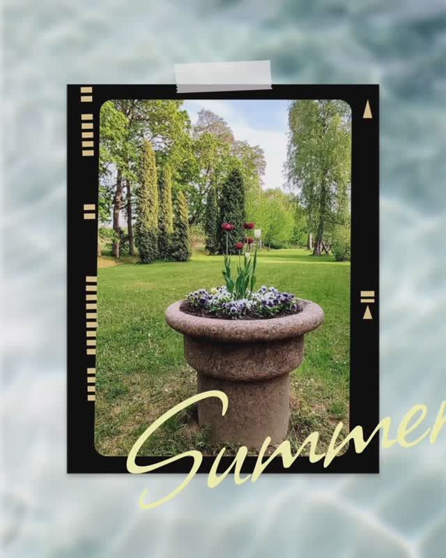 Фотоальбом Лето.mp4