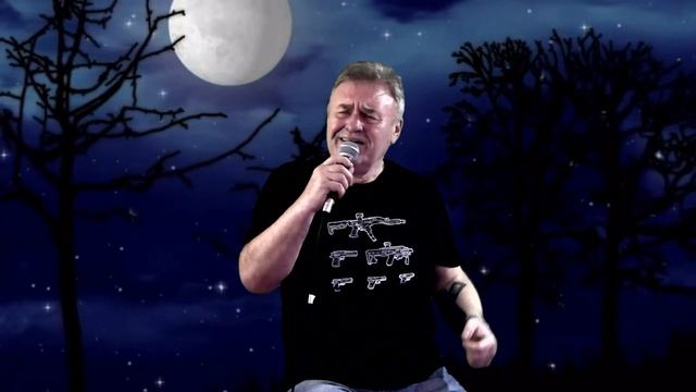 АЛЕКСАНДР СТОЛИЦА & АРТЕМ ЖИХАРЕВ - ЛУННАЯ СЕРЕНАДА (Александр Серов)