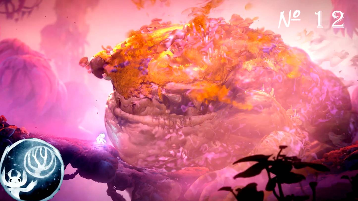 КВОЛОК ВСЁ, ОТПРАВЛЯЕМСЯ В ТЕМНОТУ ▬ Ori and the will of the wisps № 12