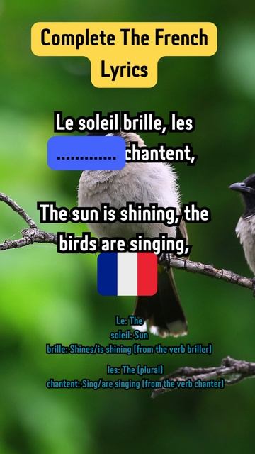 Complete The French Lyrics (1). Bonjour