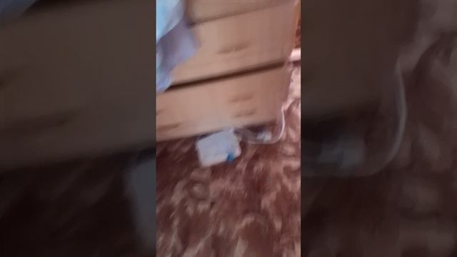 милый котик 4 Серия 2 сезона