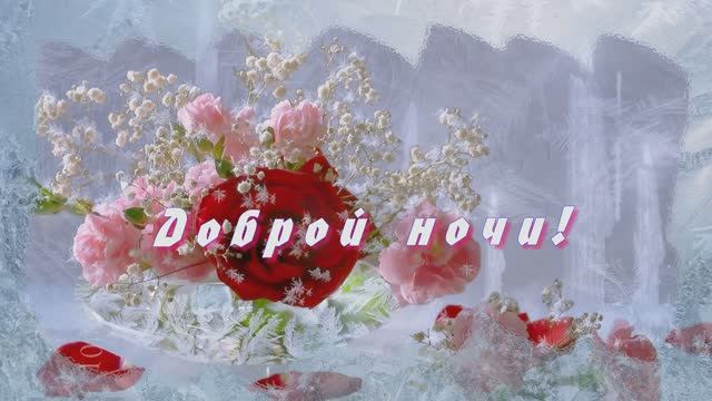 Доброй ночи! Желаю приятного вечера и доброй ночи! Красивых снов!