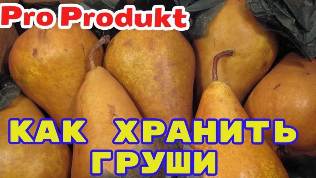 Как хранить груши