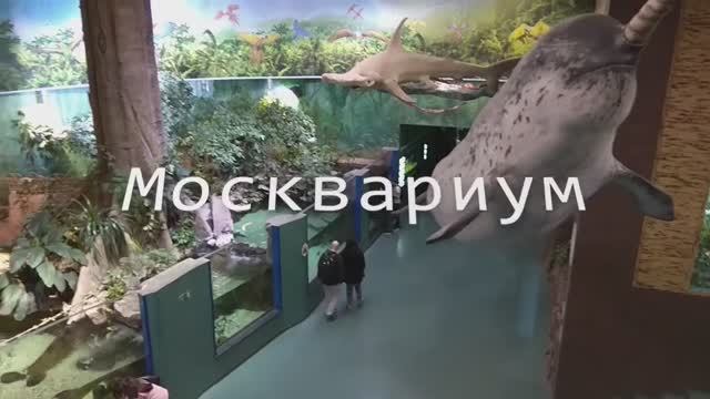 Москвариум