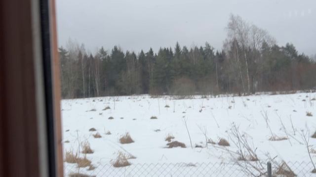 Петровское 26-01-2025