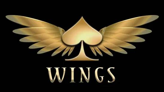 Серия Крылья - Шоуд 04_09.12.2017_SaLexx & SafIra