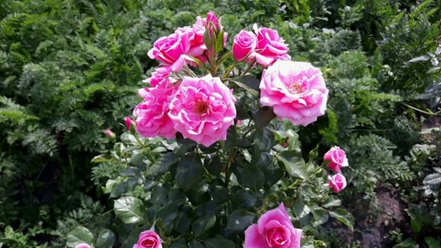 Моя судьба в твоих руках ❤️💝💔💞💘❣️💖