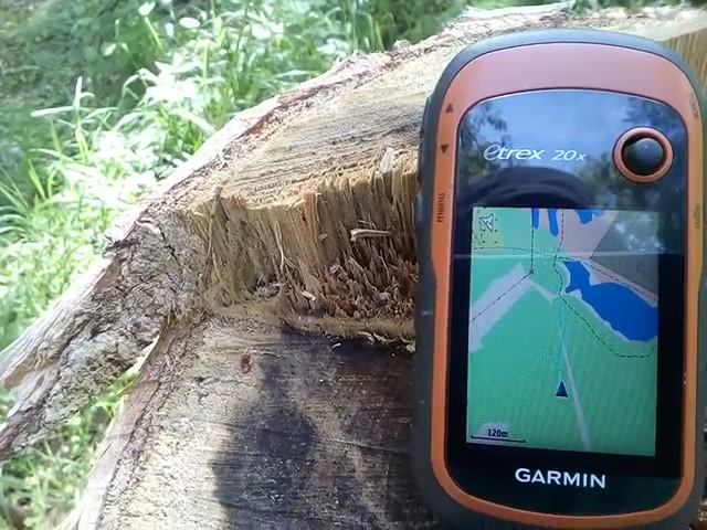 Выживание в  лесу. GARMIN GPS - навигатор для туриста, ищем где растут маслята.