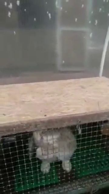 Как он рад меня видеть.