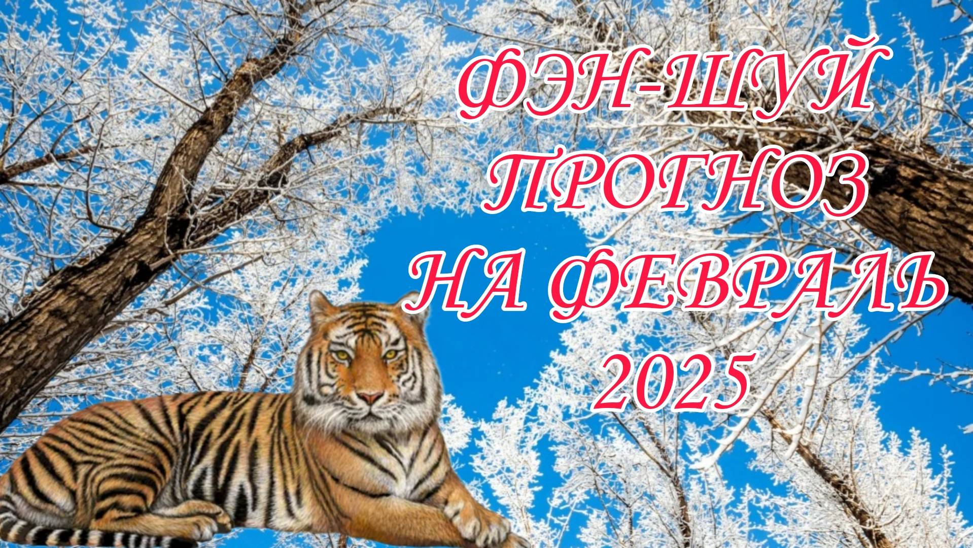 ФЭН-ШУЙ ПРОГНОЗ НА ФЕВРАЛЬ 2025🐯 МЕСЯЦ ЗЕМЛЯНОГО ТИГРА#2