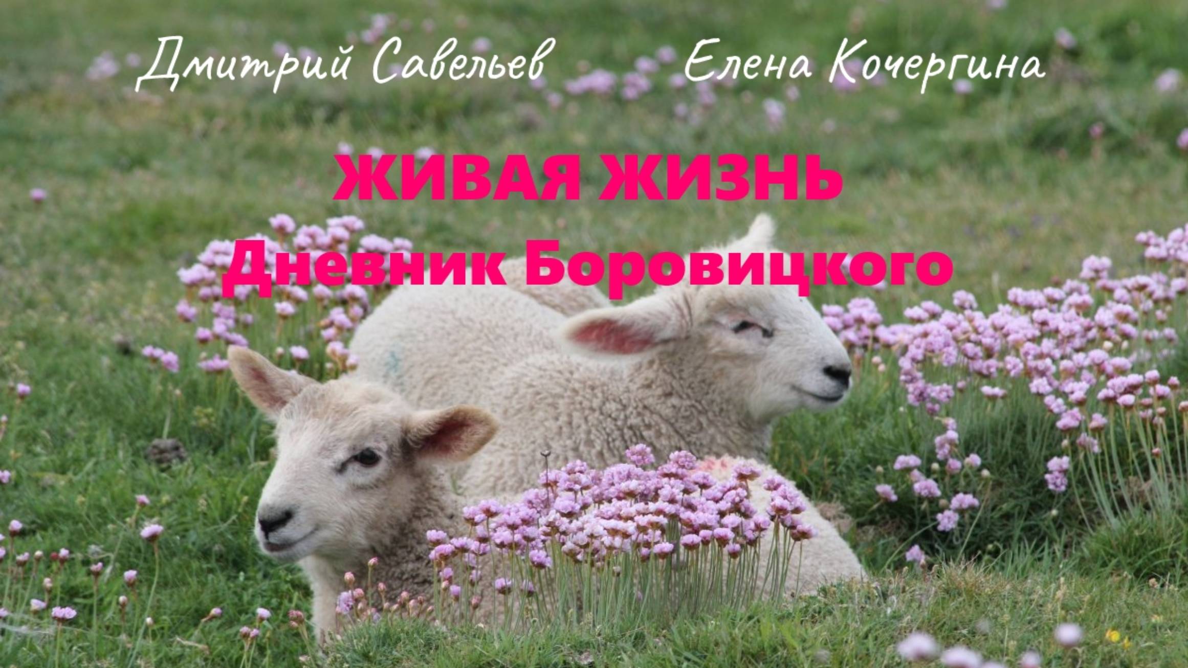 Живая Жизнь. Дневник Боровицкого (Дмитрий Савельев, Елена Кочергина). Ч. 16