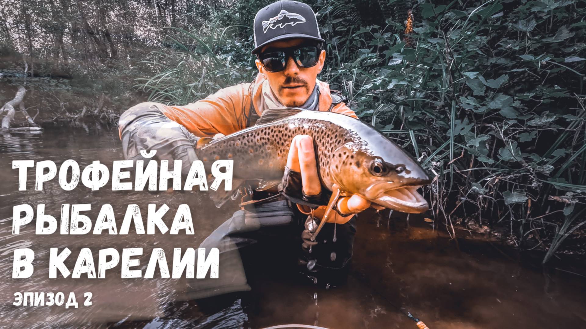 ТРОФЕЙНАЯ РЫБАЛКА В КАРЕЛИИ. Огромная форель на спиннинг на лесной речке. Лучший воблер на форель!