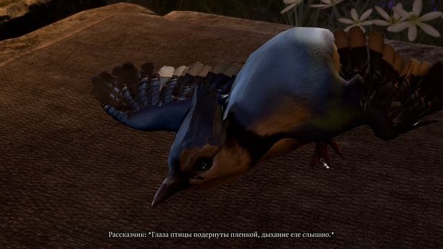 Baldur's Gate 3 Игрофильм Русская озвучка серия 2