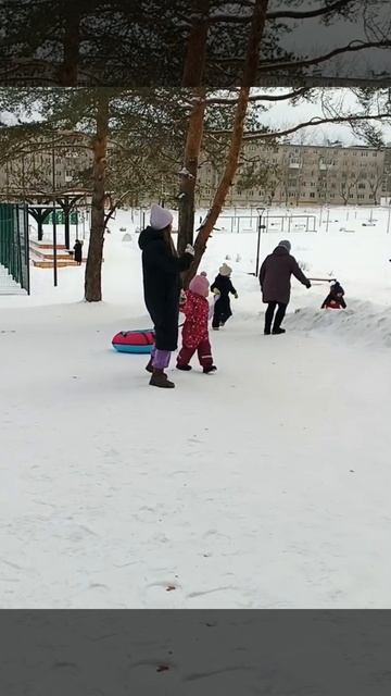 Прудик (18.01.2025)