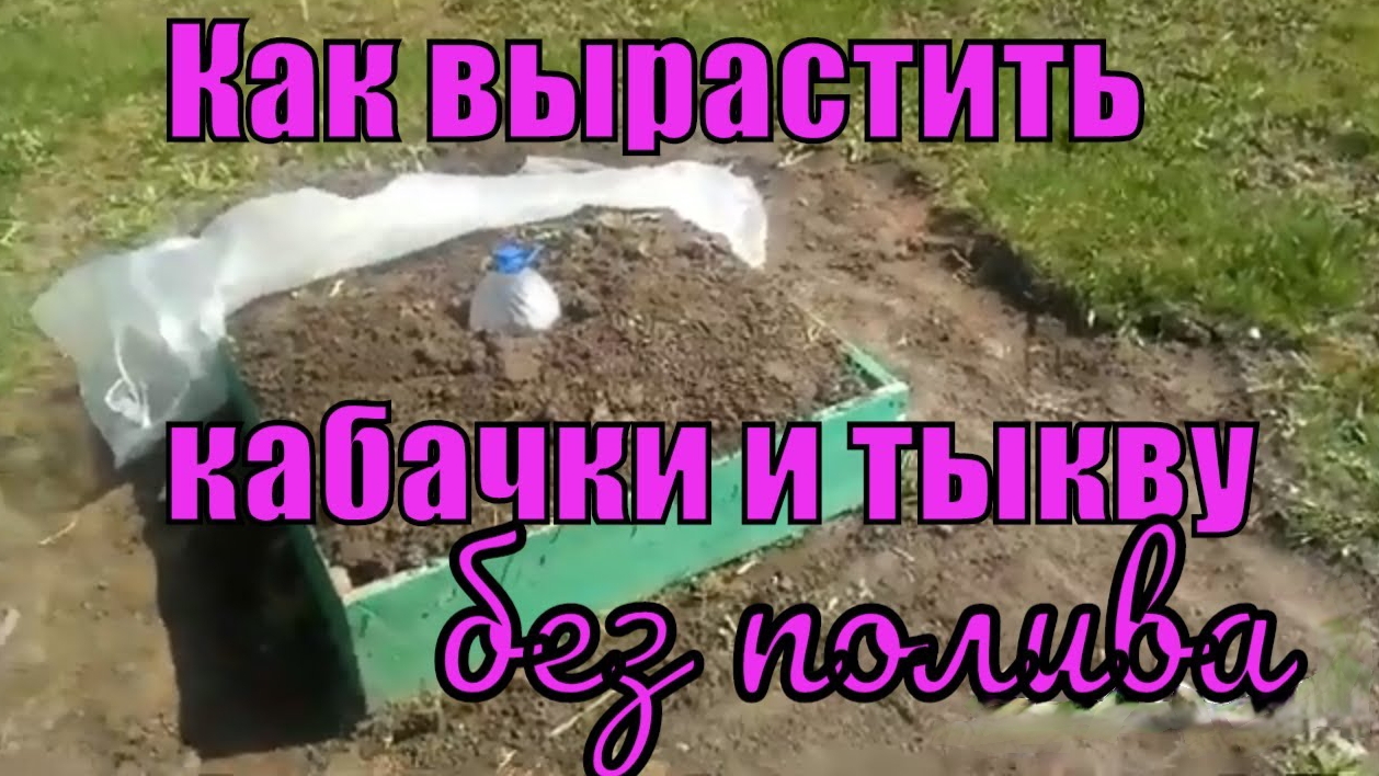 Экспериментальные грядки на дёрне