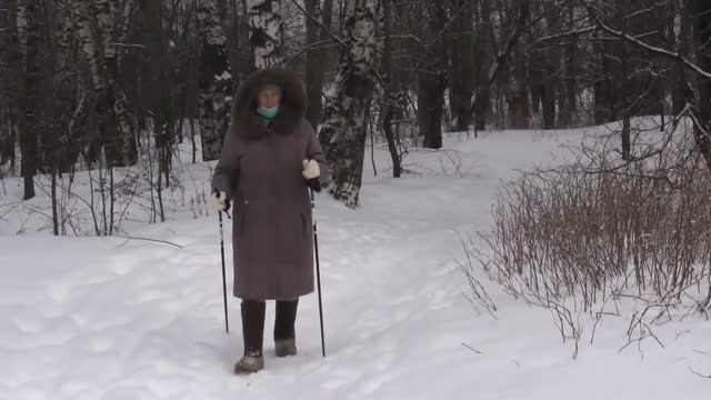 Молча любуюсь пейзажами зимними