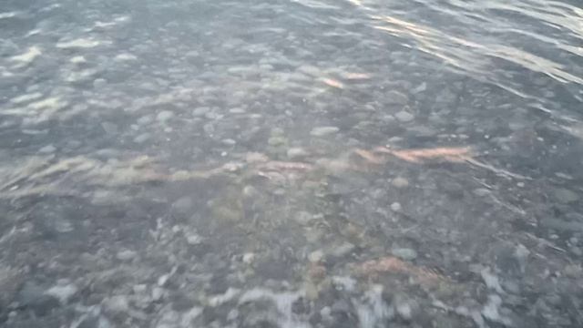 Абхазия,автокемпинг "Дикая Гавань" 10.08.2024 шум прибоя и закат