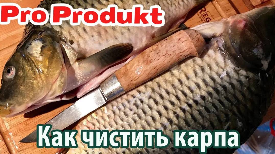 Как чистить карпа
