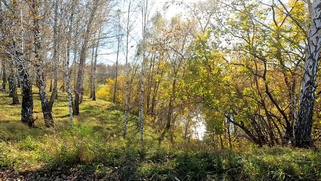 Пашинские озёра