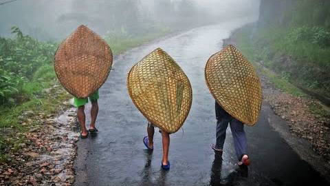 Маусинрам: самая влажная деревня в мире, где выпадает 12 метров осадков в год!