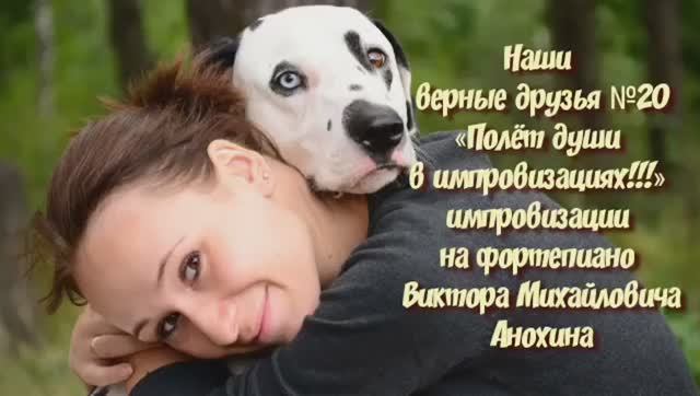 МУЗЫКА «Наши верные друзья №20» ИМПРОВИЗАЦИЯ фортепиано композитор Виктор Анохин #instrumentalmusic