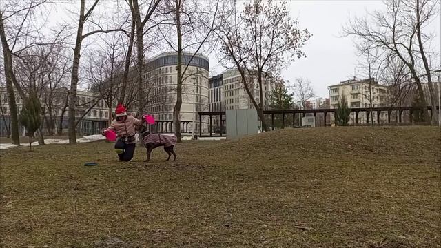 Метис Нэтта - связываем трюки в последовательность