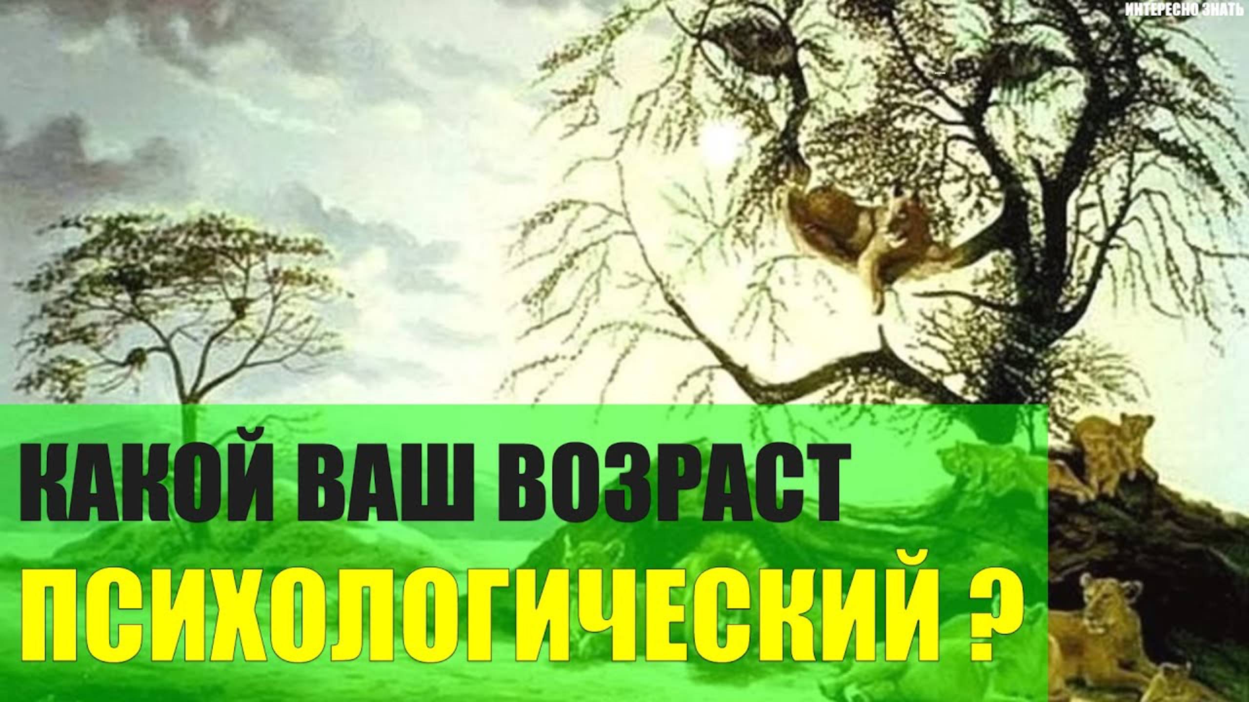 Какой Ваш психологический возраст?