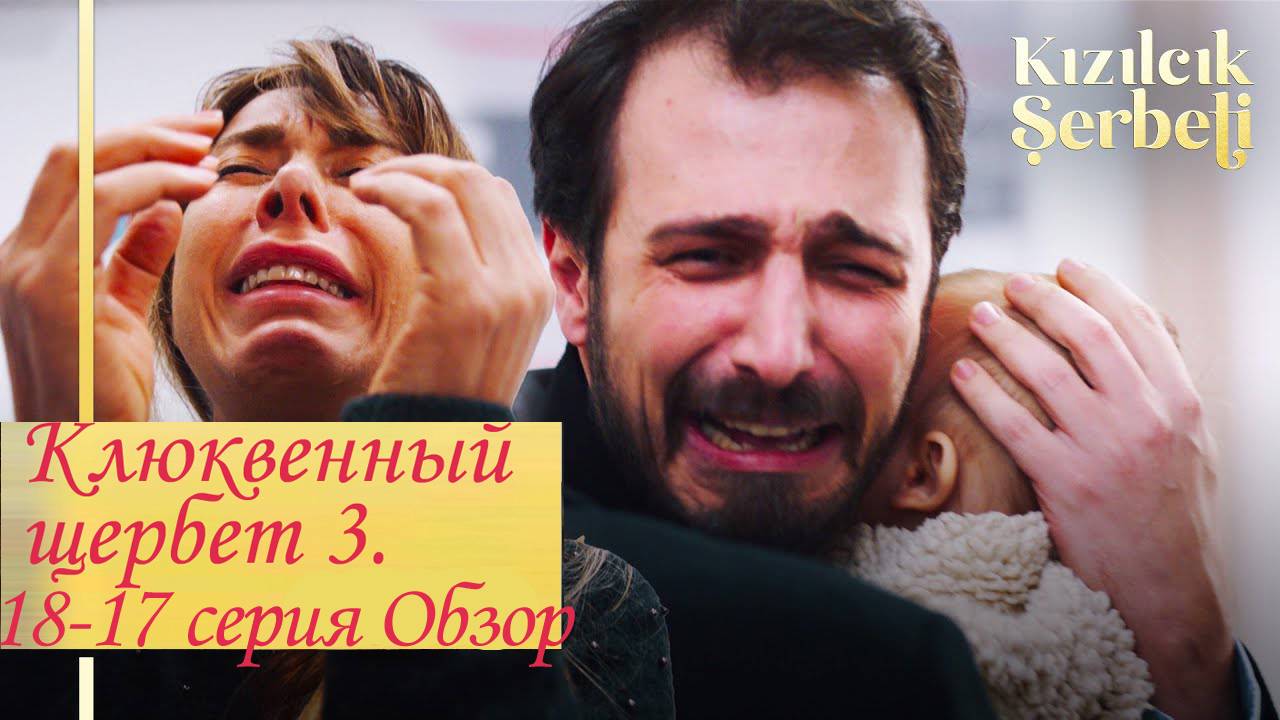 Клюквенный щербет. 17, 18 серия. Обзор пересказ