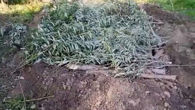 Селькупский стан в д. Рейд на мысу при впадении р. Тогурская Кеть в Обь