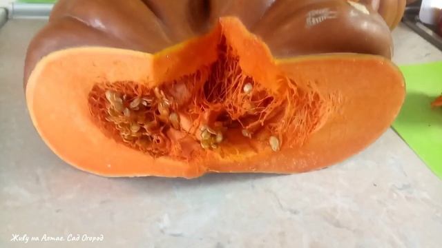 Сортовая тыква сказочной красоты