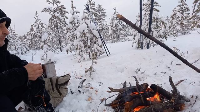 В лес на лыжах.21.12.24.