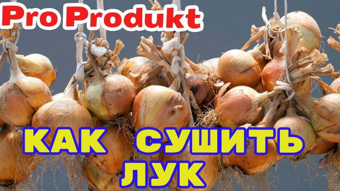 Как сушить лук