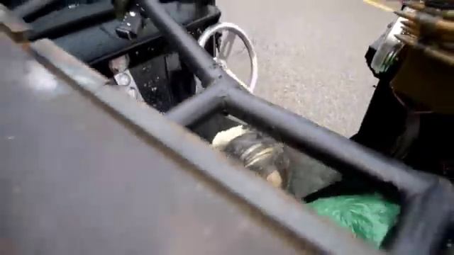 7 невероятных рэт-родов в мире, которые вас просто УДИВЯТ